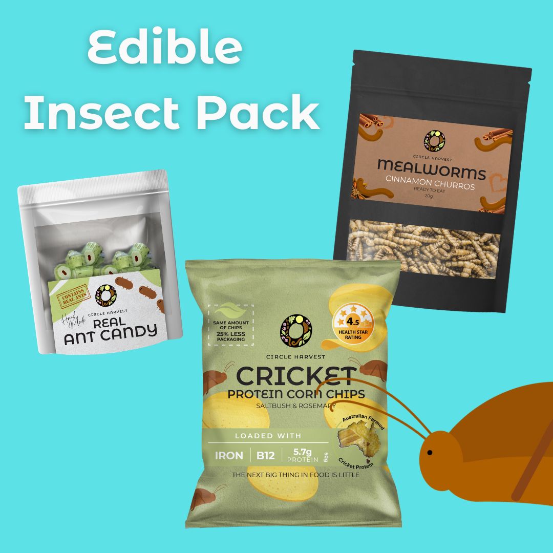 Edible Insect Gift Pack – Bug Shop